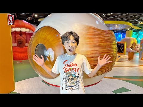Children Science Museum Learn about Body for Kids Educational Video