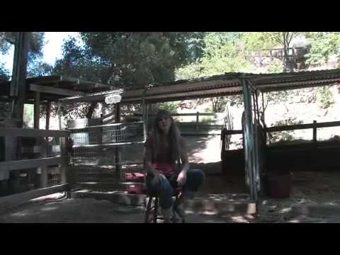 Training horses with the Carolyn Resnick Method - YouTube