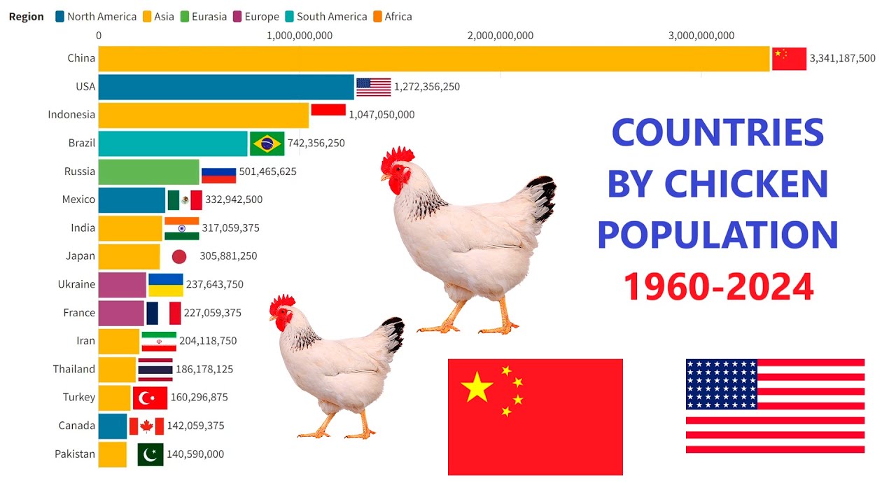 Chicken Population by Country 1960-2024 - YouTube