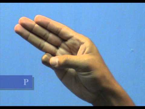 Abecedario en Lengua de Señas Venezolana - YouTube
