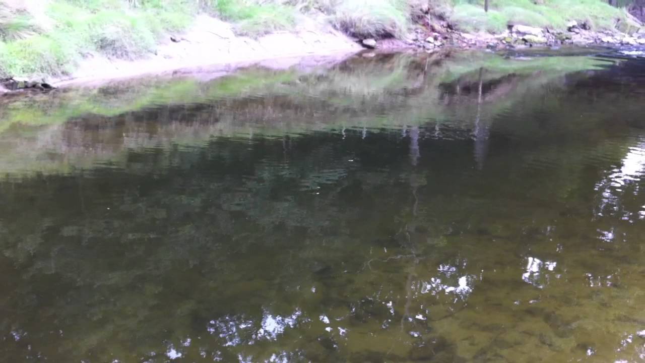 River Crake - Penny Bridge Estate "Lower Beat" - YouTube