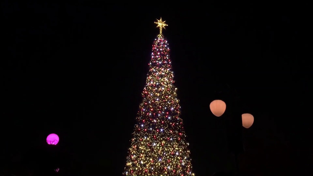 "When We're Together" Shanghai Disney Resort Christmas Tree Lighting ...