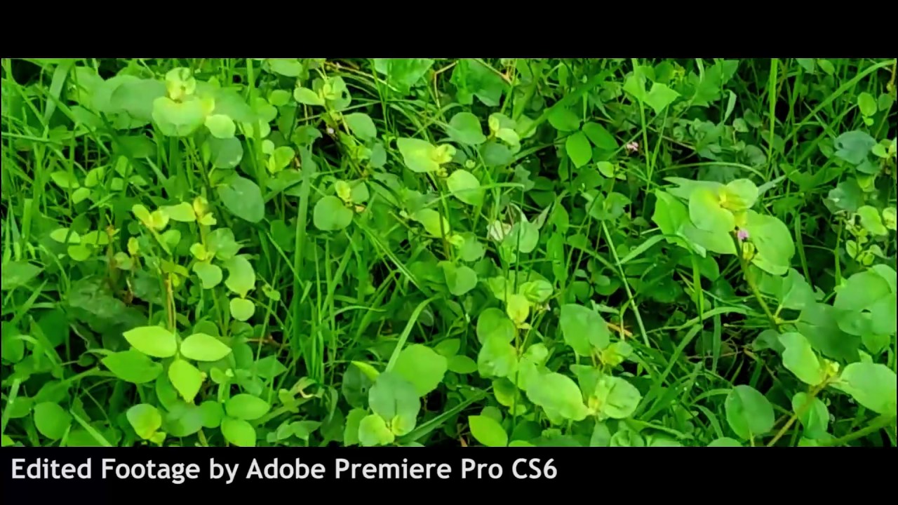 Xiaomi mi4i camera quality(RAW and Edited Footage)