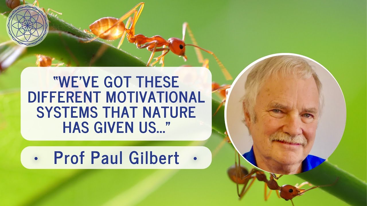 Professor Paul Gilbert (clip) - Competition and Cooperation - YouTube