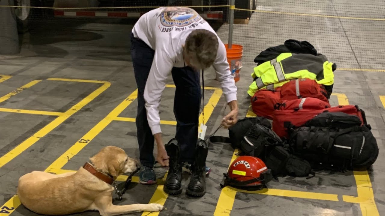 Nevada Task Force 1 deployed to Oregon to assist wildfire search ...