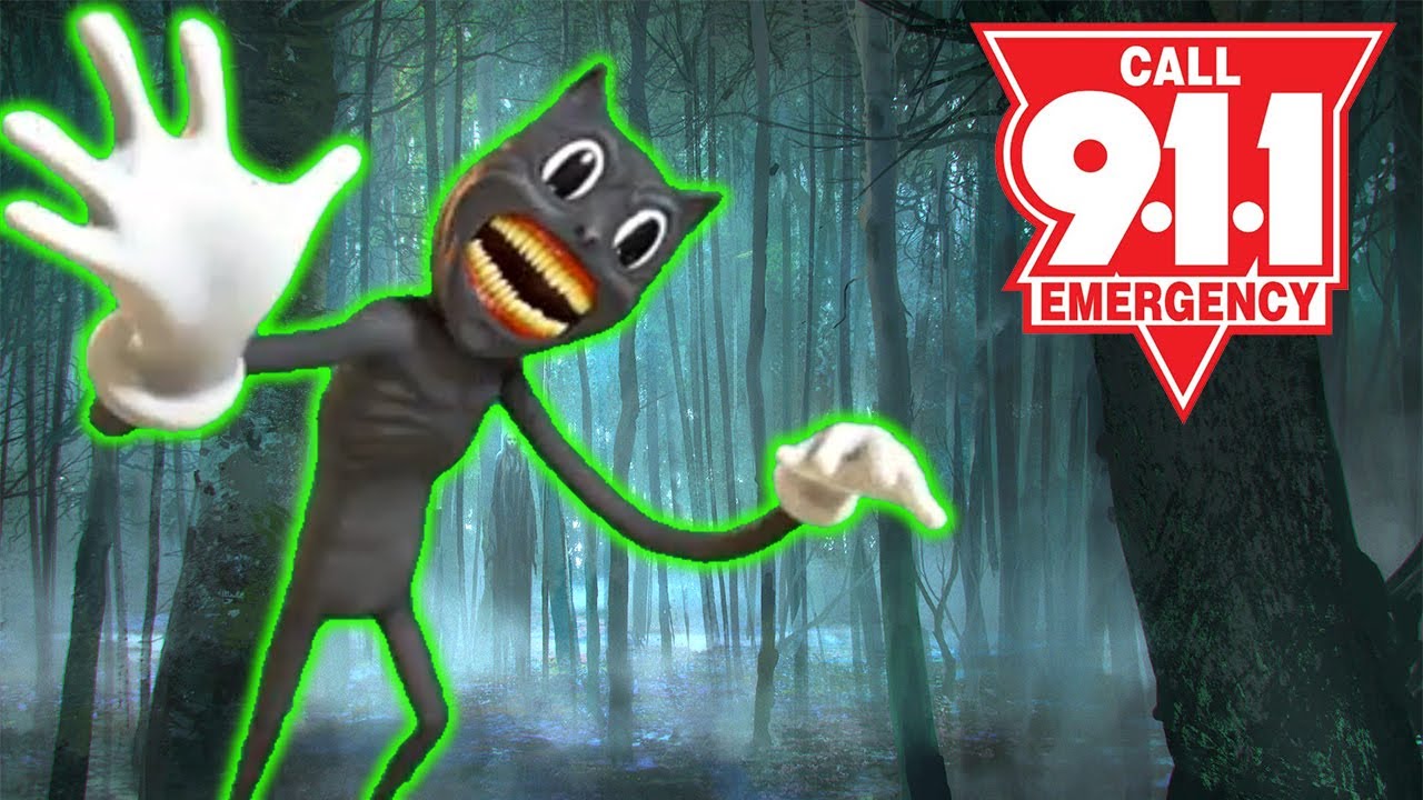 Cartoon Cat Found Us! Results in 911 Emergency Call - YouTube