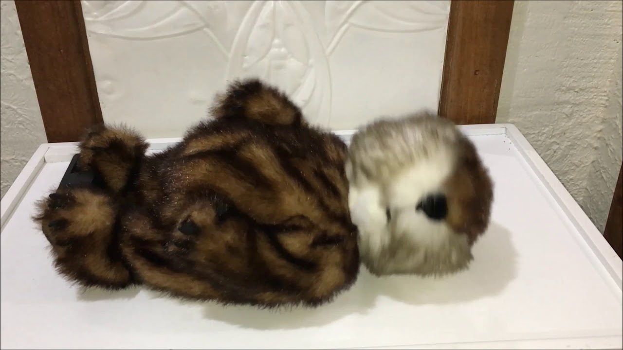 Singing Beaver Toy - YouTube