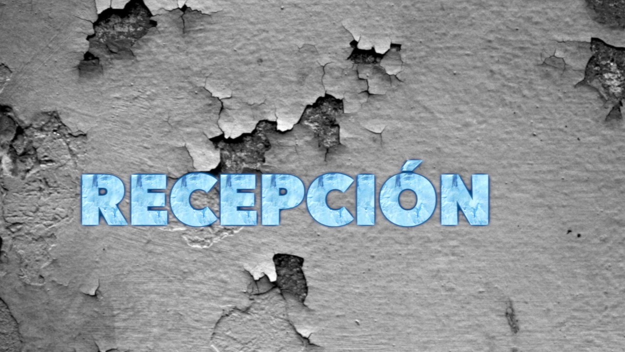 Saque, bloqueo, voleo, recepción y remate en el voleibol -Paso a paso ...