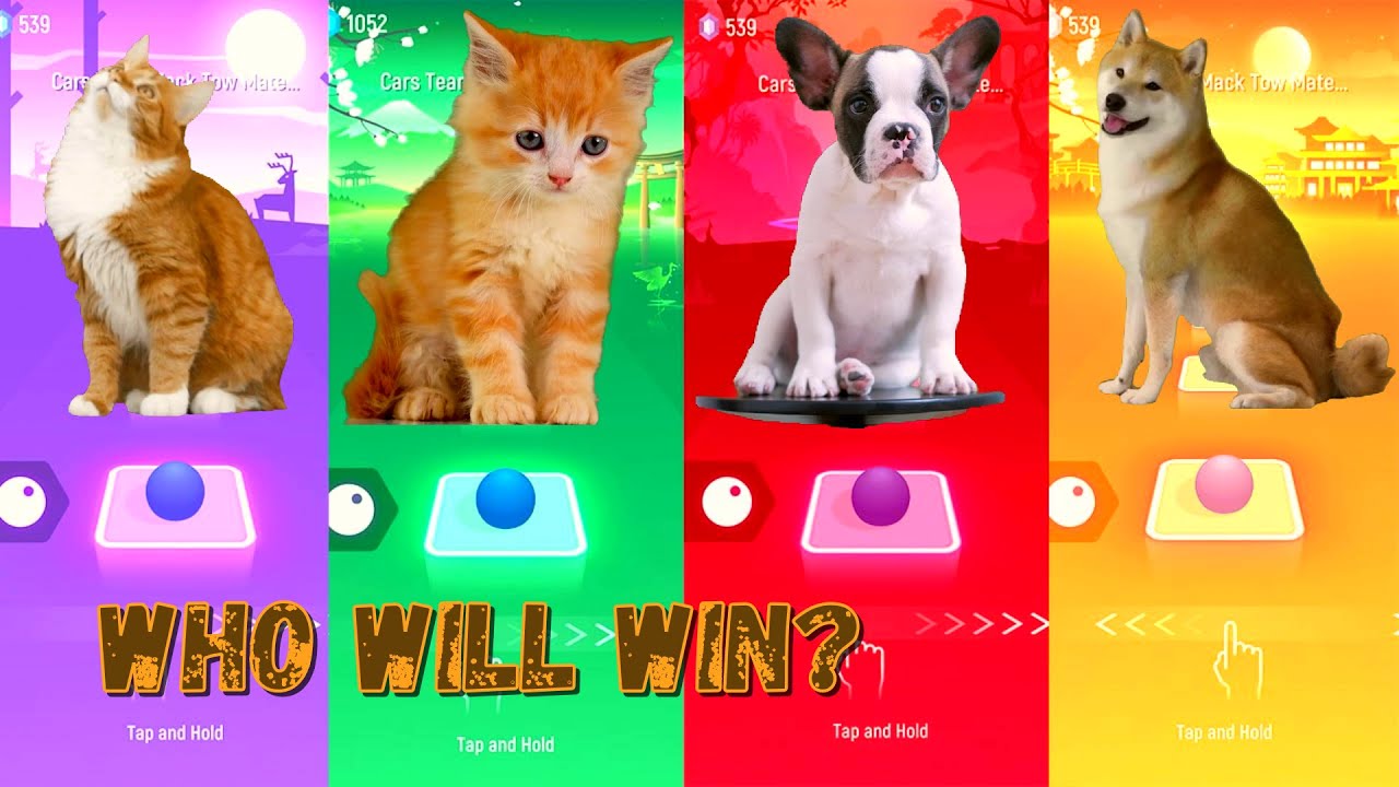 CUTE CAT vs FUNNY CAT vs CUTE DOG vs NICE DOG/TILES HOP - YouTube