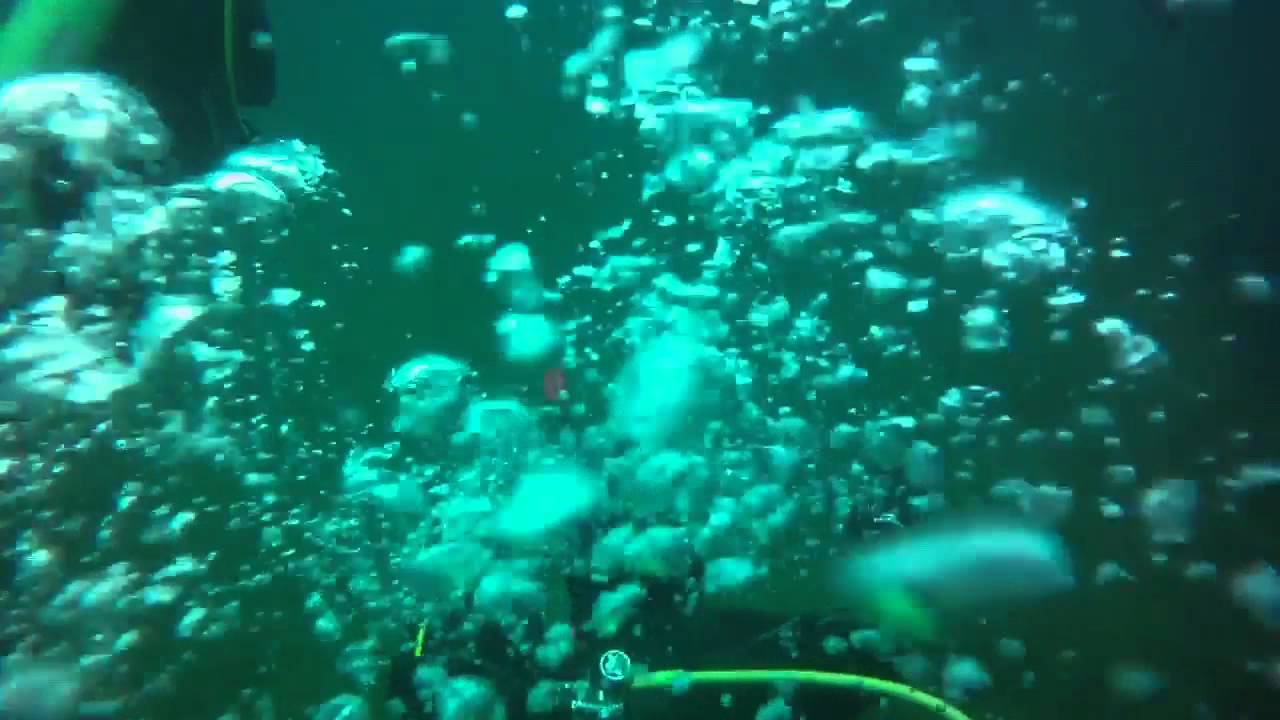 Scuba Diving with Contour HD - YouTube