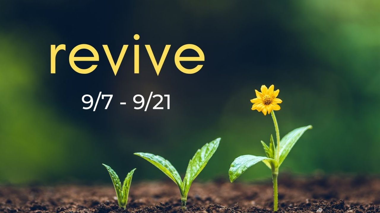 09-14-2025 - Revive Us Again - Revive Our Study - YouTube