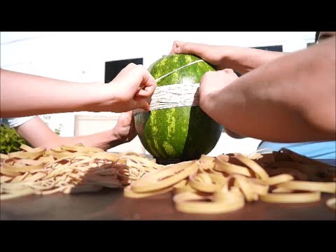 How to Make a Watermelon Explode with Rubberbands - YouTube