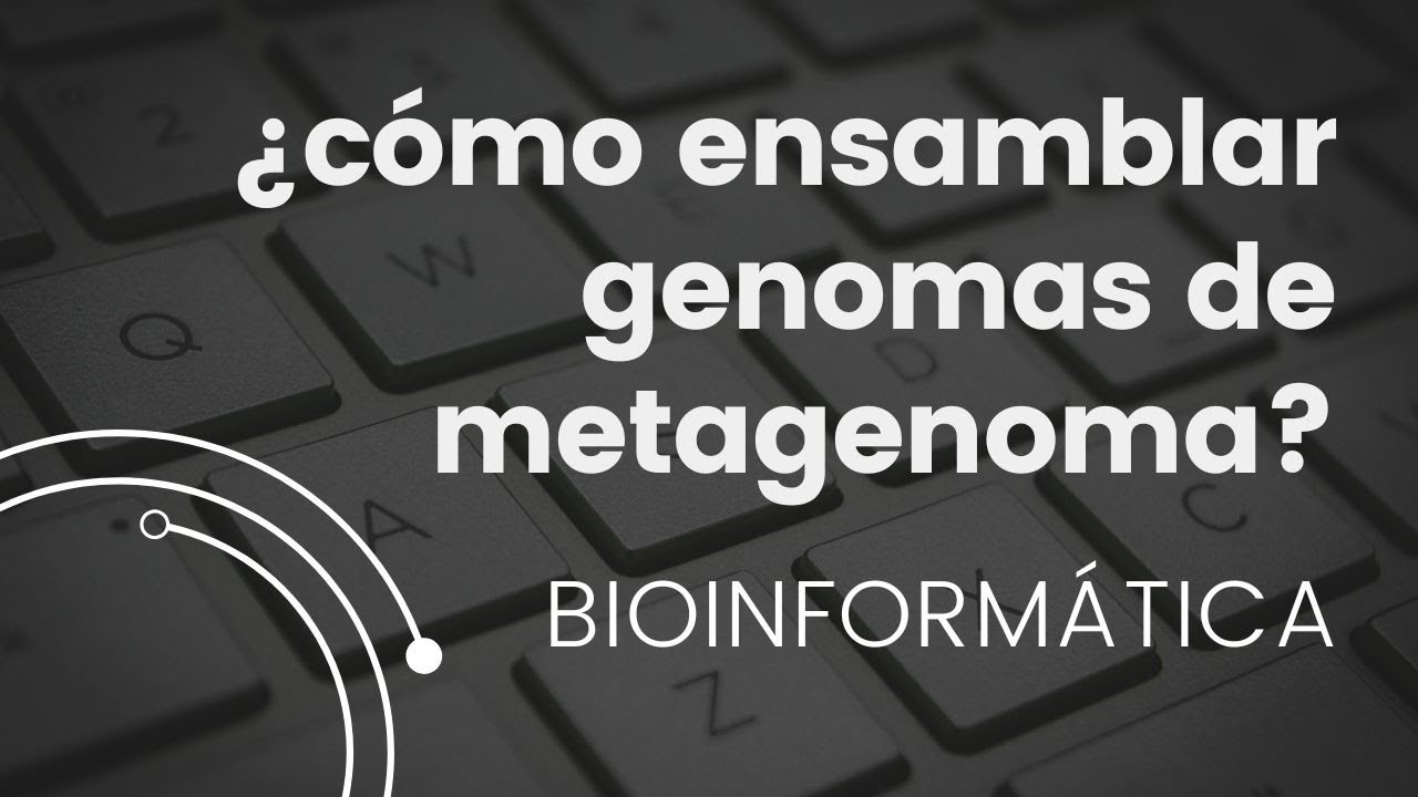 Metagenome-Assembled Genomes (MAGs) en ESPAÑOL - YouTube