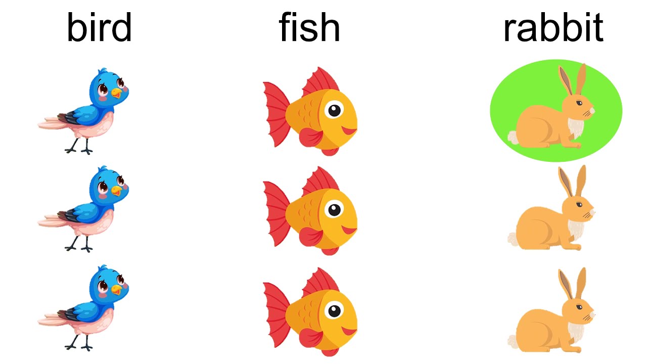 Learn Basic English: Animals Edition: Expand Vocabulary, Test Your ...