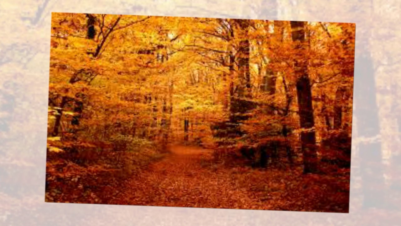 George Davidson - Autumn Leaves - YouTube