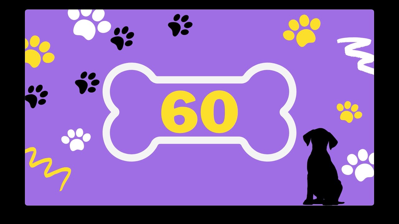 Cute Dog/60 Second Timer with Music (1 Minute) - YouTube
