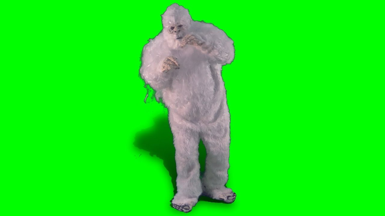 Snow Yeti - Timid & Confused - Green Screen - Download - YouTube