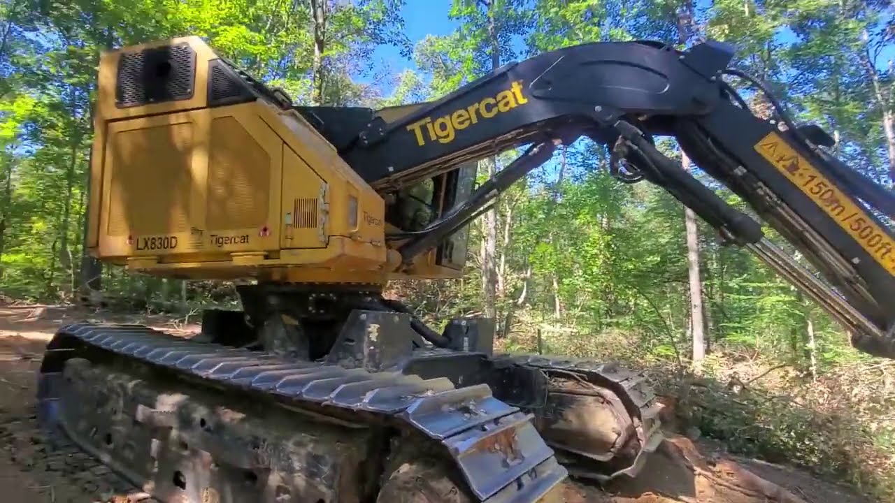 Awesome logging outfit with Harmless farmer and Bryon 6180 - YouTube