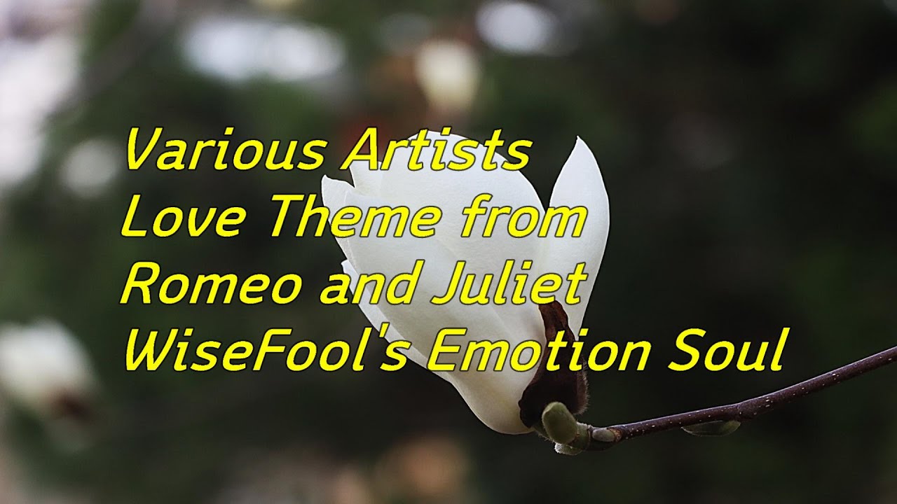 Various Artists - Love Theme from Romeo and Juliet - YouTube