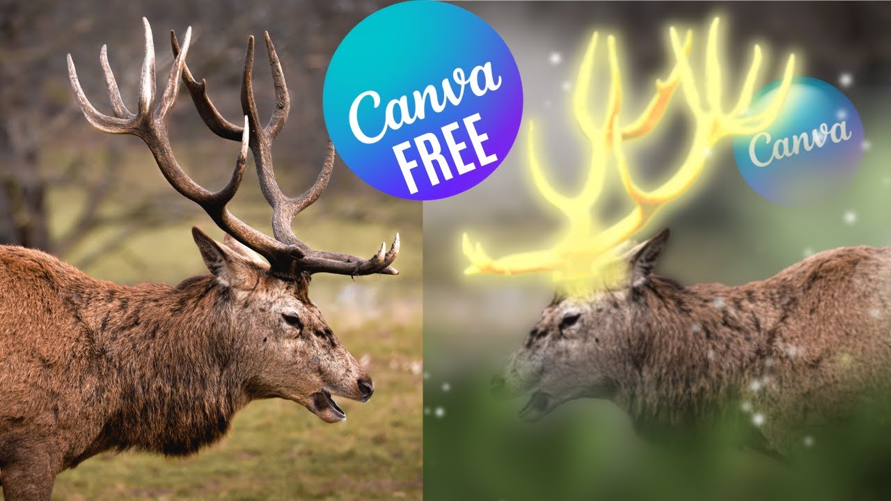 Glow Effect Canva Tutorial For Beginners | Deer Antlers Glowing Effect ...