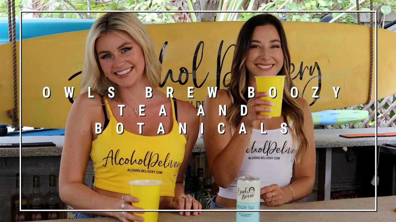 Owls Brew Boozy Tea and Botanicals White Tea, Raspberry, and Watermelon ...