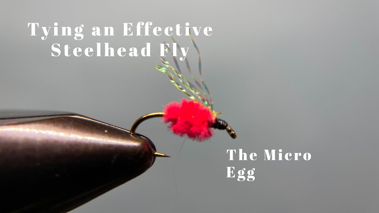 Fly Tying for Steelhead - the Micro Egg - YouTube