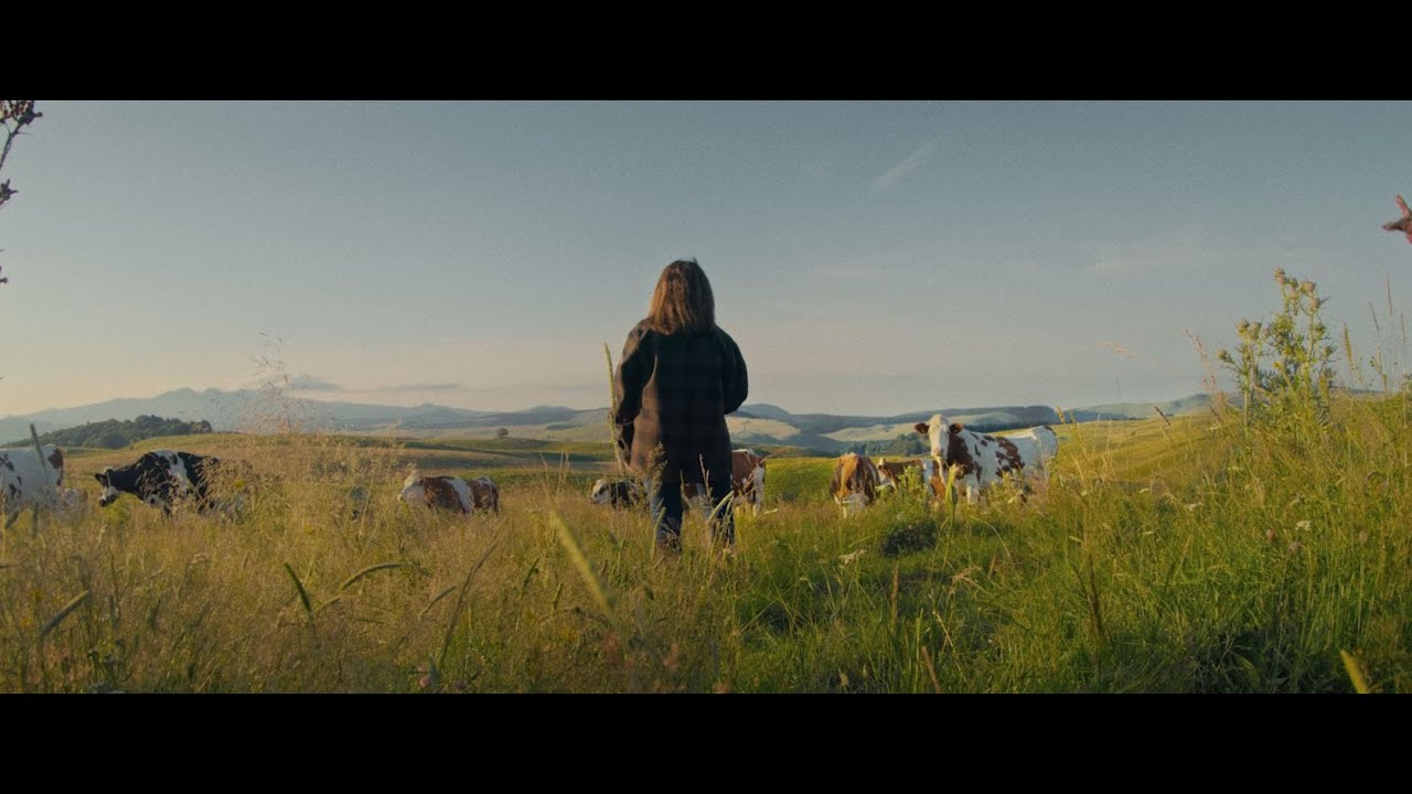 AOP Saint-Nectaire : nectar des prairies naturelles - SPOT TV 2024 ...