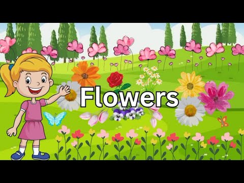 Flowers || Names of flowers || Kindergarten || Educational video for ...
