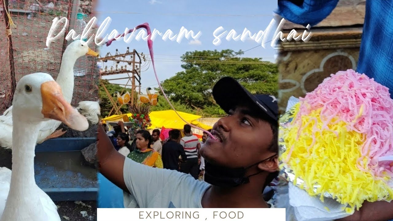 exploring pallavaram santhai | friday market | WWA - YouTube