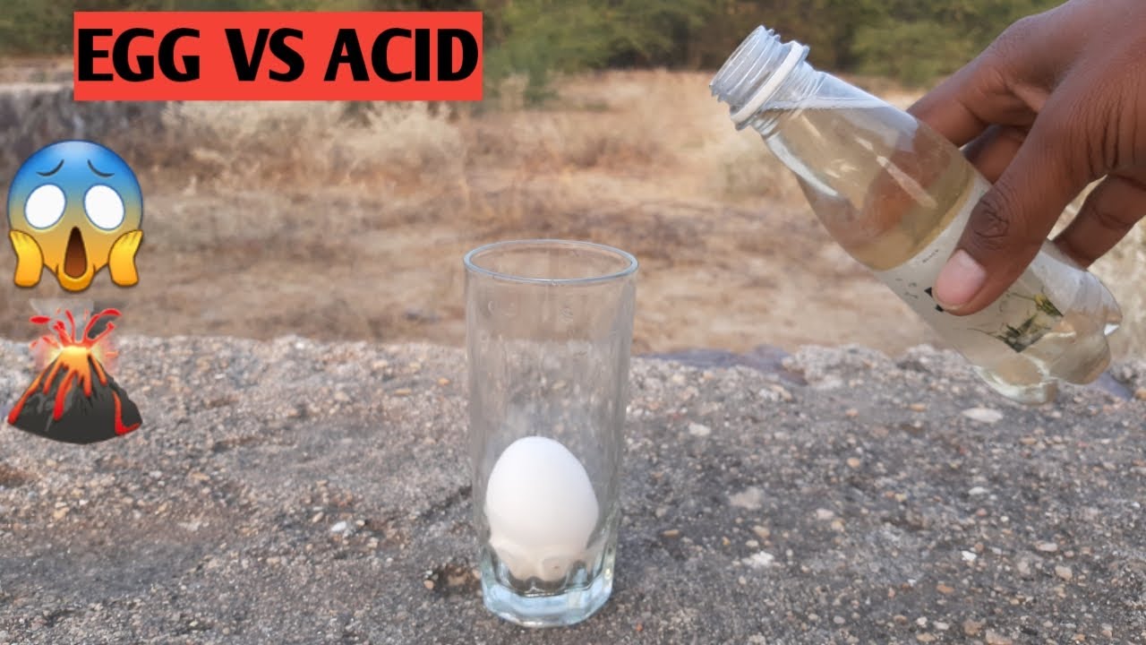 EGG VS ACID Reaction Experiment अण्ड़े का क्या होगा - YouTube