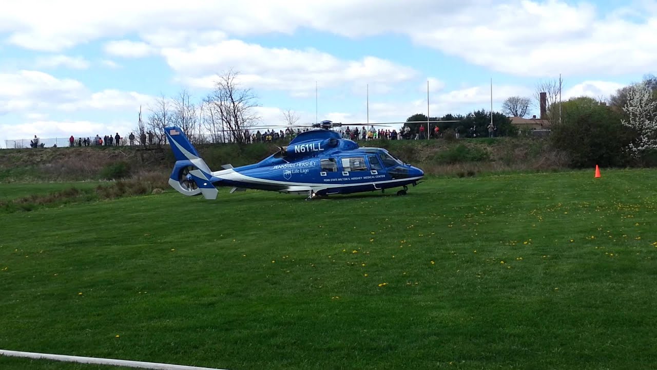 Life Lion at Paxtonia Field - YouTube