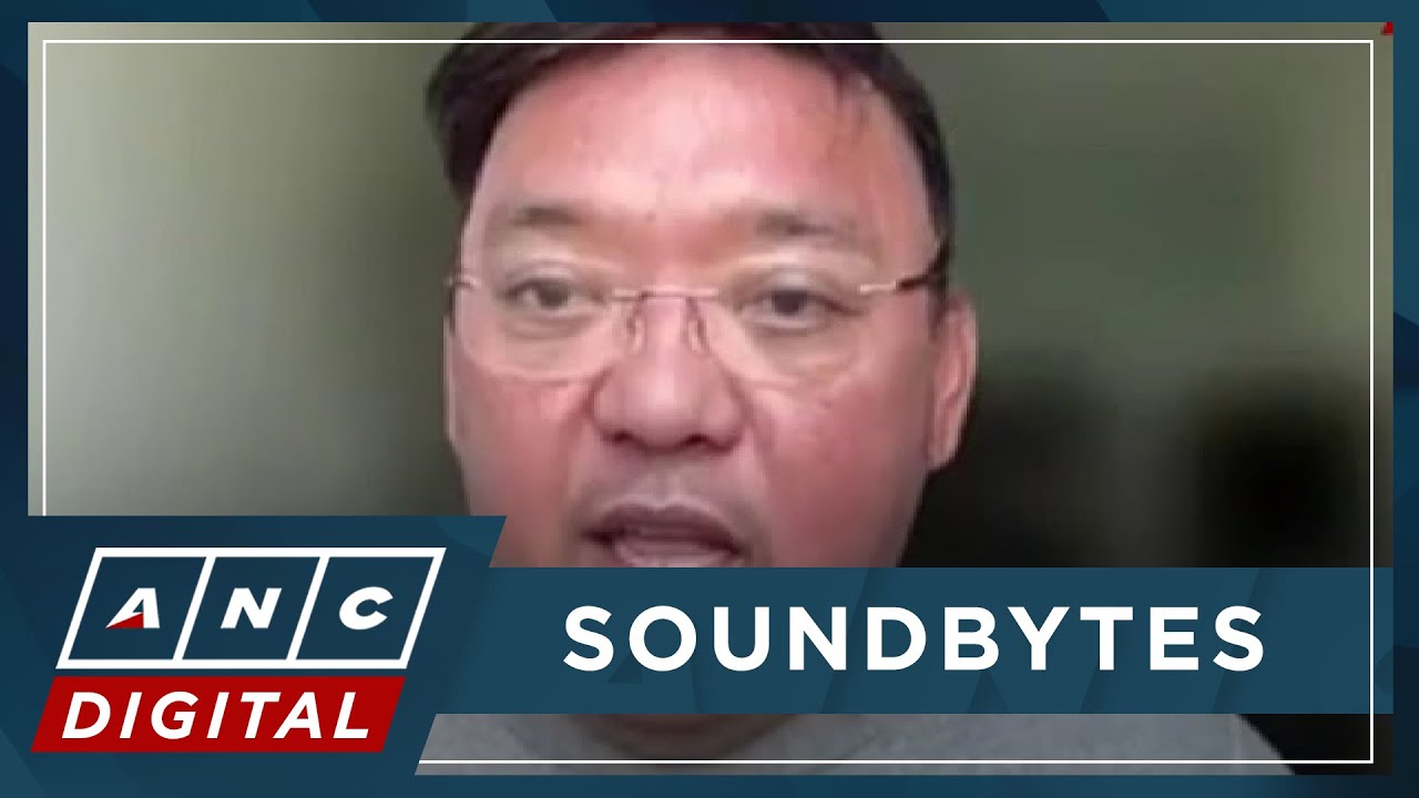 Roque: Duterte children eyeing legal aid, which means court will pay ...