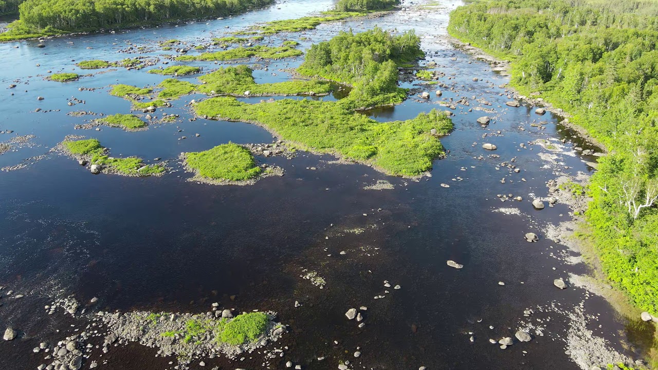 Gander River Newfoundland just before First POND - YouTube