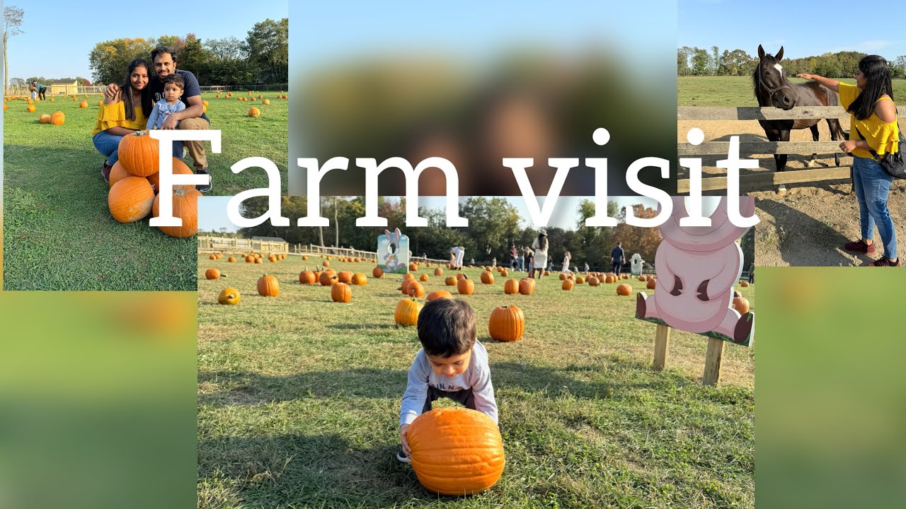 Weekend ಅಲ್ಲಿ ನಮ್ಮ Farm visit/ Carm’s farm/ Pumpkin Patch /Kannada ...