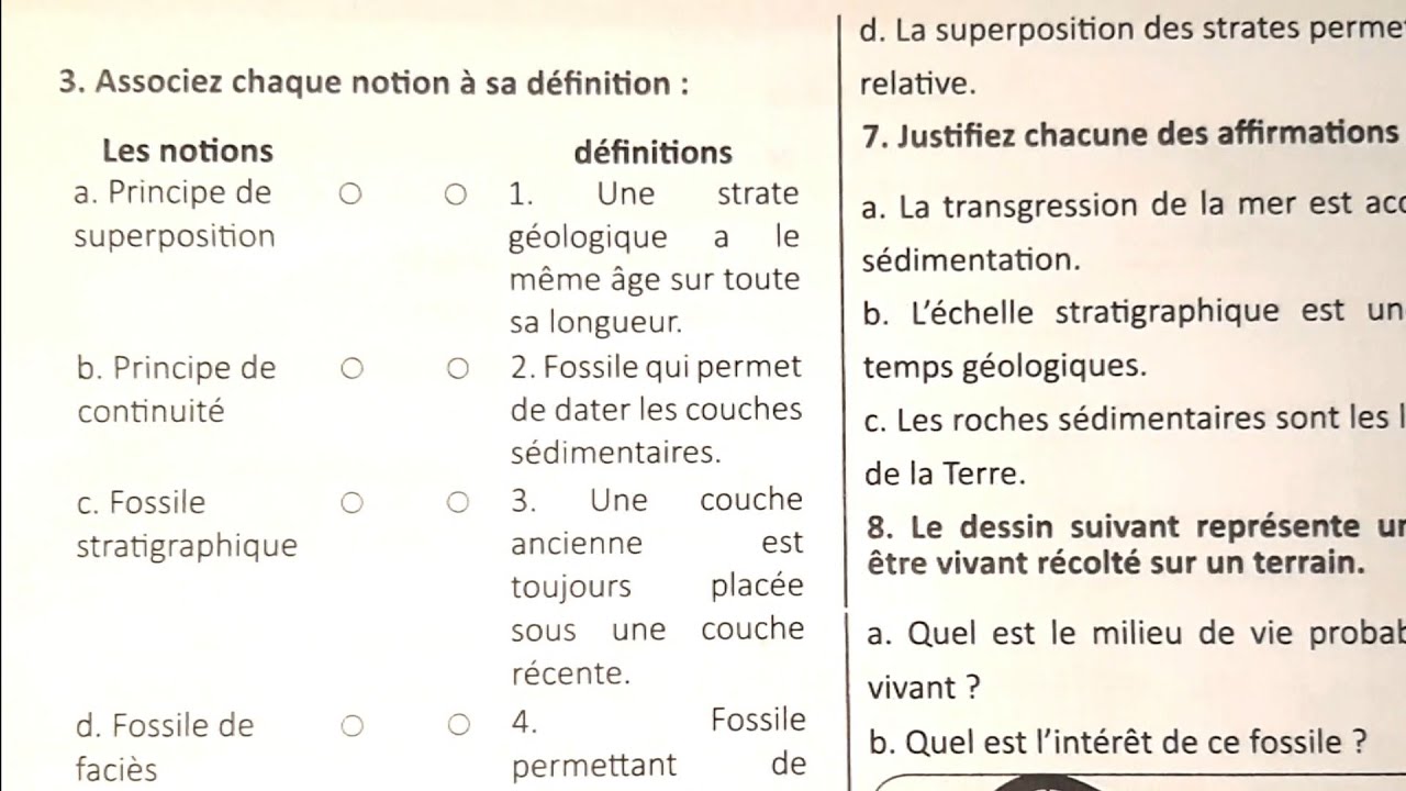 SVT 1AC Les fossiles et la fossilisation (Exercices supplémentaires ...