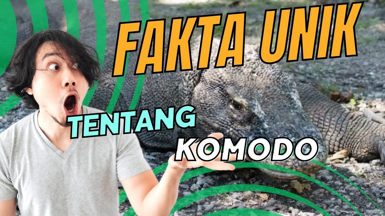 Komodo ‼️ The Island Ruler with a Deadly Secret - YouTube