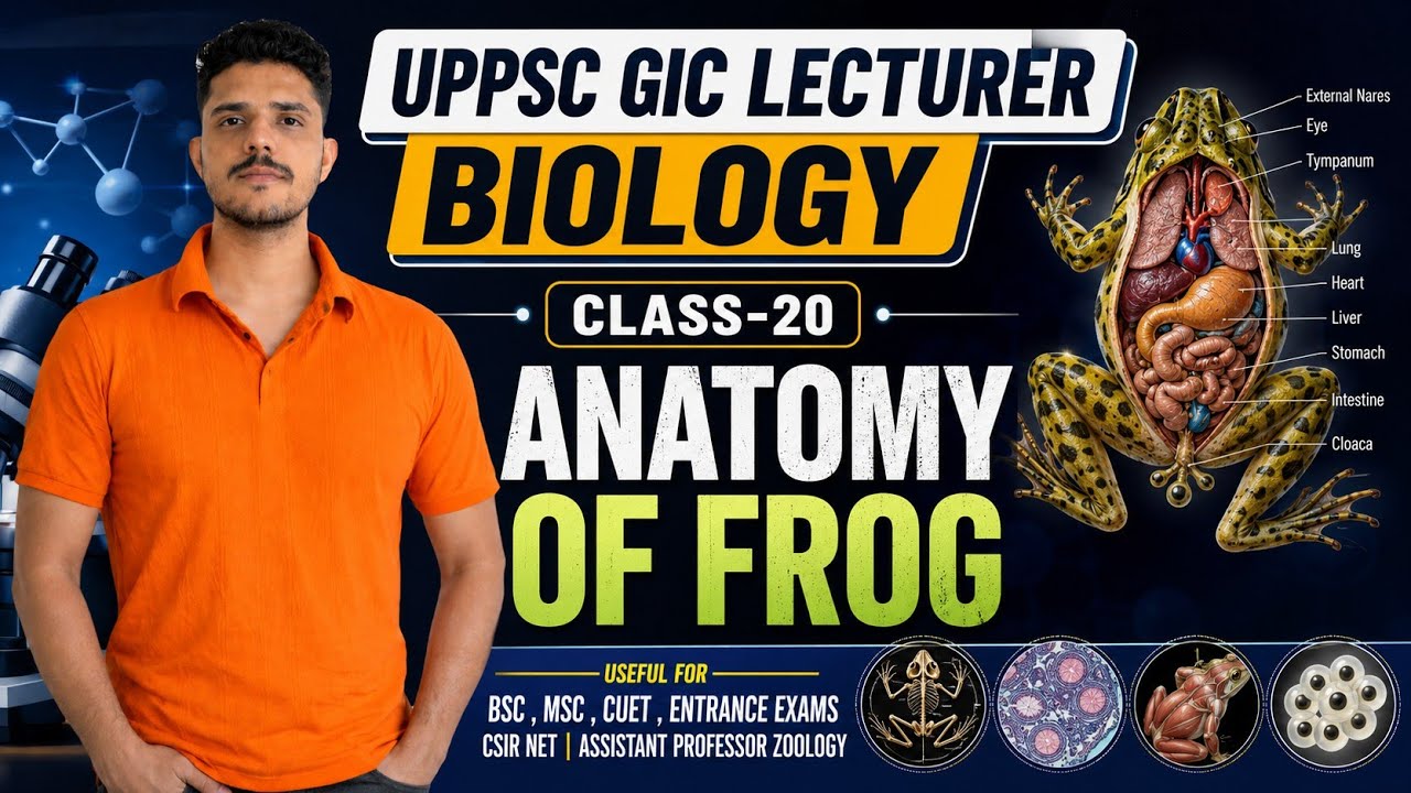 Frog Anatomy (Chordates) | UPPSC GIC Lecturer Biology | UP Asst ...