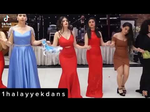 Tiktok fenomenleri halay Furkan inci /Azer cakir /Berat lice/ hebele/ heval özden