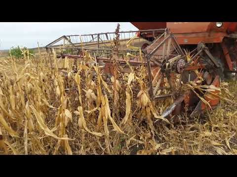 Niva ck-5, Нива ск5 (Moldova 2017)