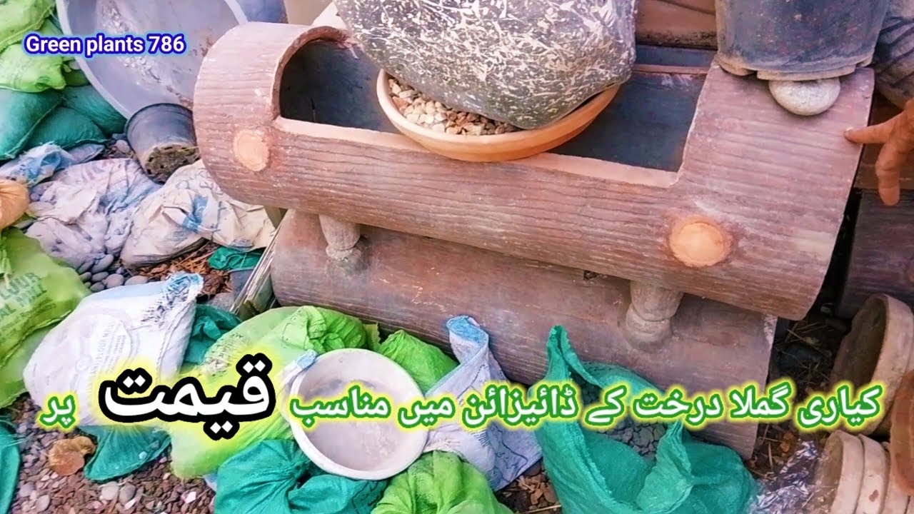 kyari gamla | tree planter | pots | green plants 786 - YouTube