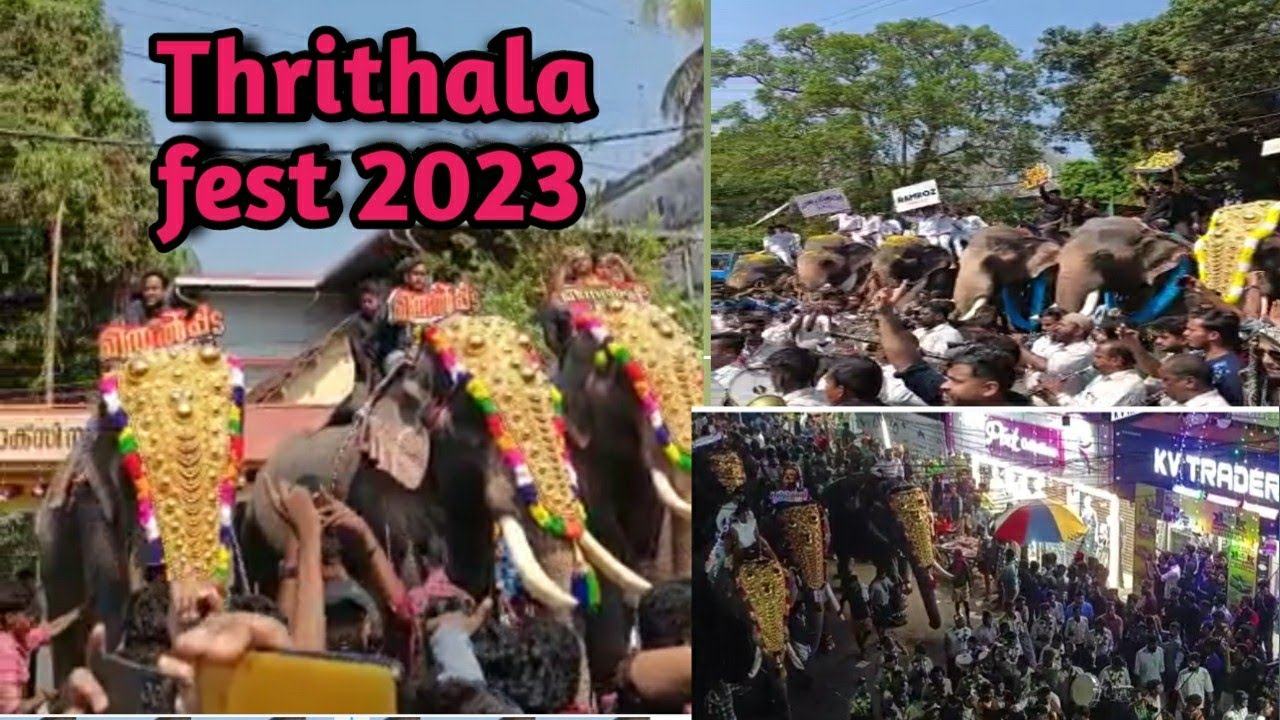 Thrithala nercha/Thrithala fest2023/കാഴ്ചകൾ കണ്ടാല്ലോ - YouTube