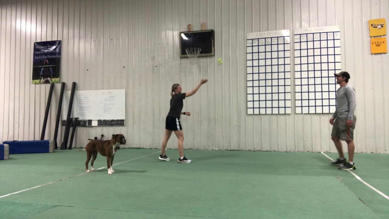 Partner 2-Ball Bounce & Catch In 1-Hand - YouTube