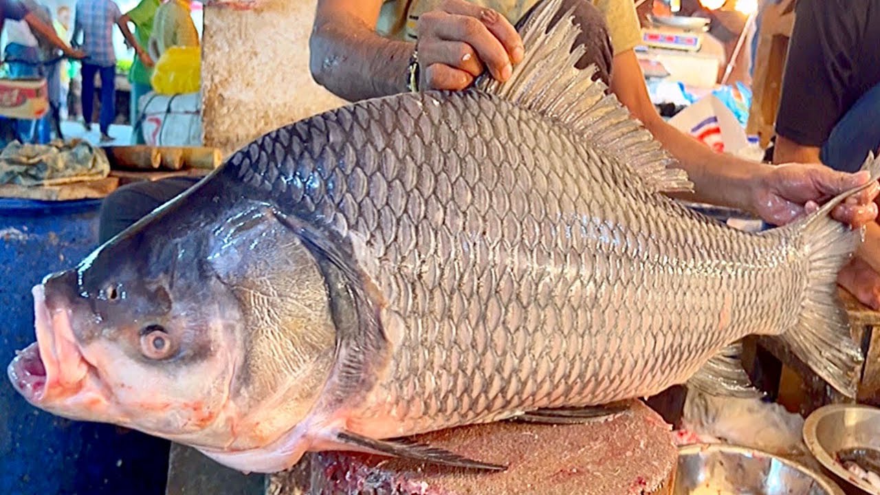 Incredible Giant Katla Carp Fish Cutting In Bangladesh | Amazing ...