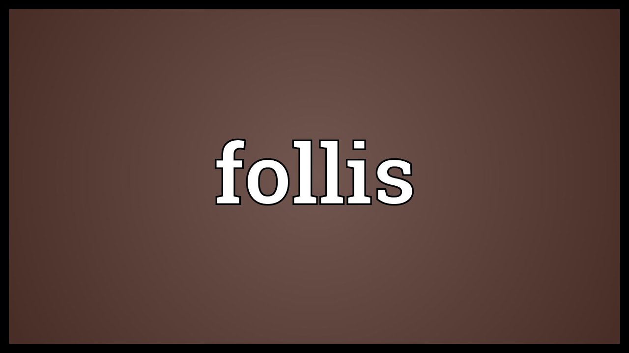 Follis Meaning - YouTube