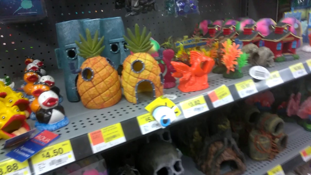 Walmart fish - YouTube