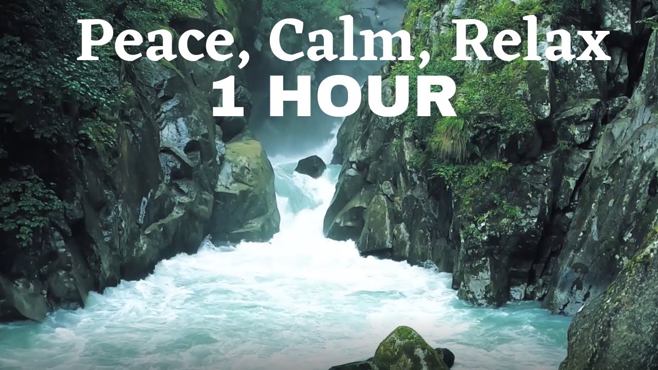 1 HOUR Peaceful, Calming, & Relaxing Music for Studying Spa Meditation ...