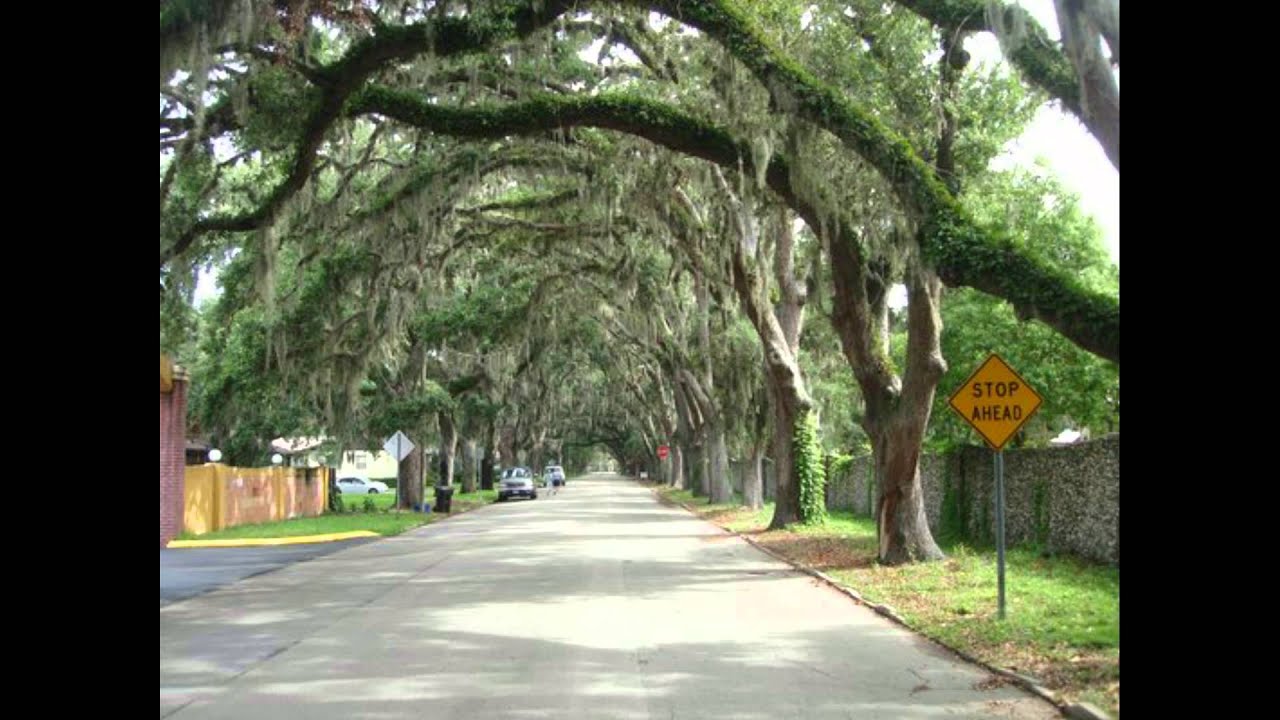 Buddy Monlock Magnolia Street - YouTube