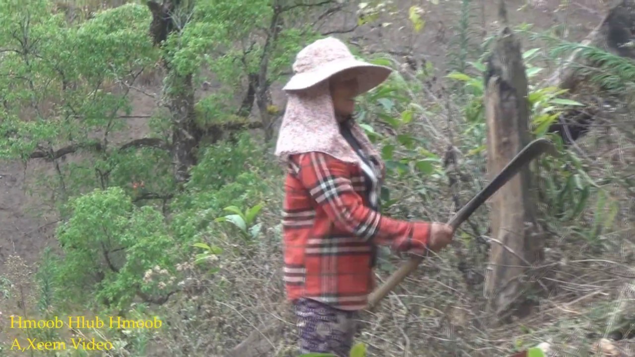 Hluas Nkauj Ua Teb Luaj Teb - YouTube