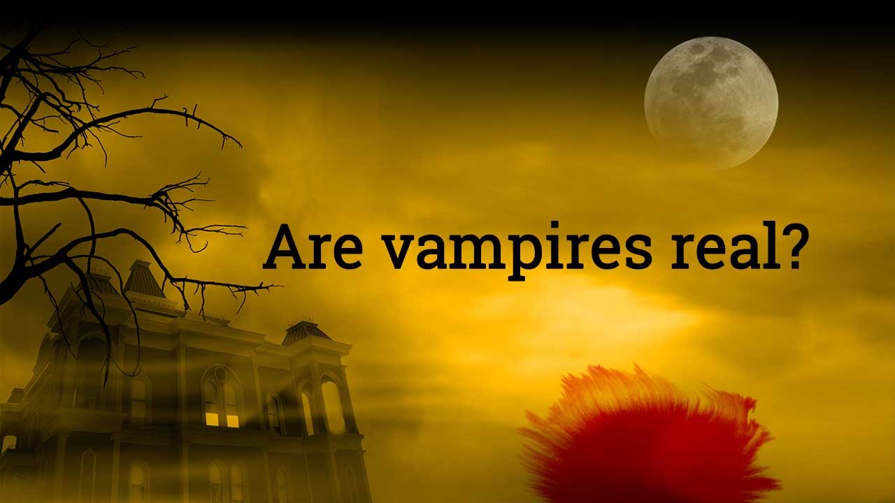 Are vampires real? - YouTube
