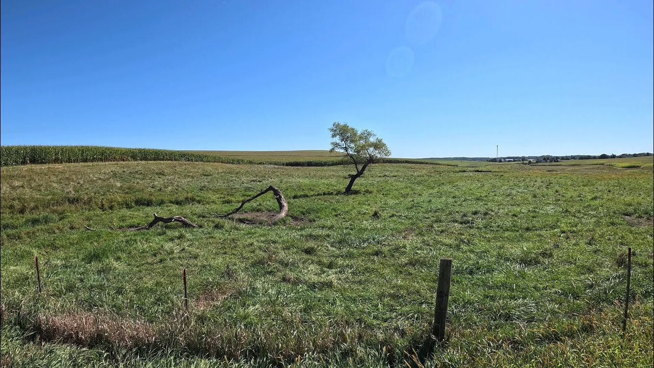 Highest Mountain in Illinois (Arduous Climb) - YouTube